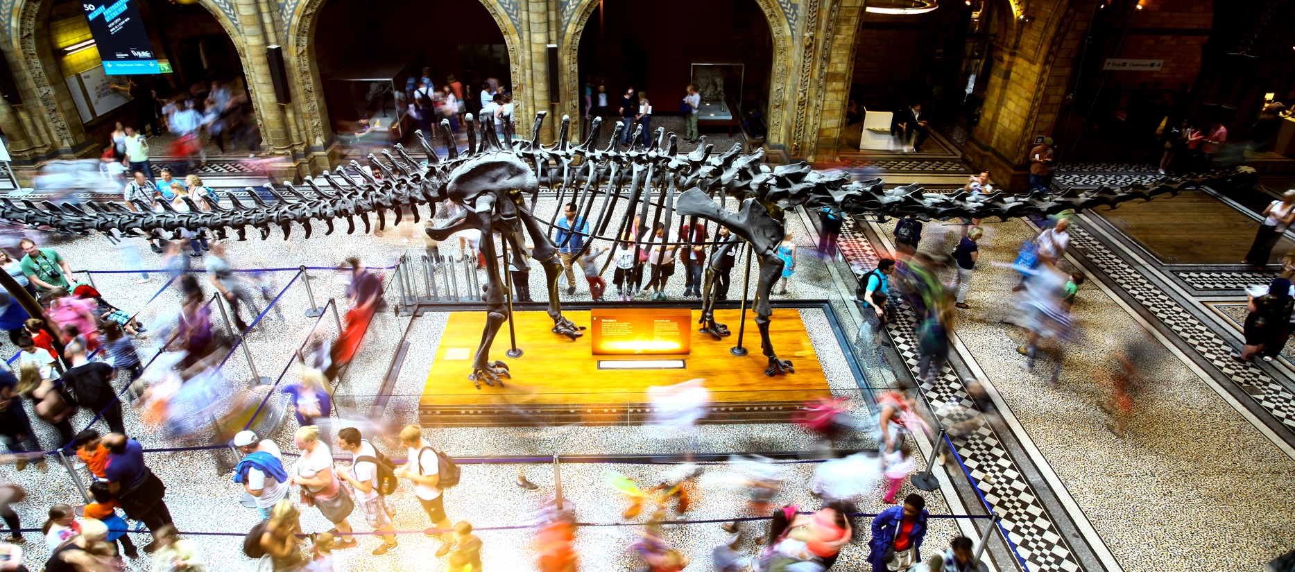 Anything Plastic | Custom Plastic Fabrication